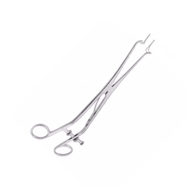 Pinza Backhaus 1° Campo - Cirugía Rex